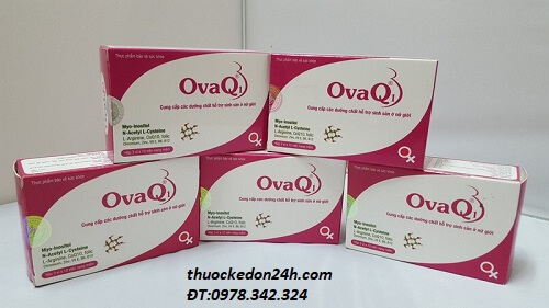 Thuốc Ova Q1 là thuốc gì? Tác dụng, Cách dùng, giá bán bao nhiêu?